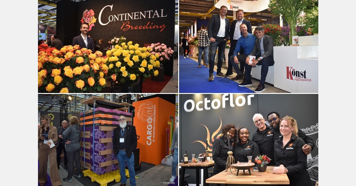 Photo report IFTF 2024