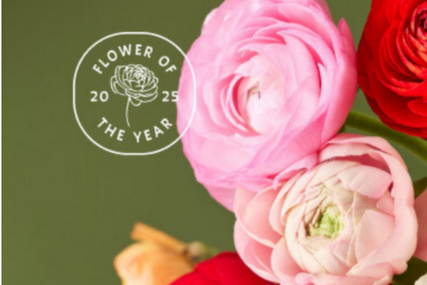 1-800-Flowers.com reveals 2025 Plant and Flower of the Year
