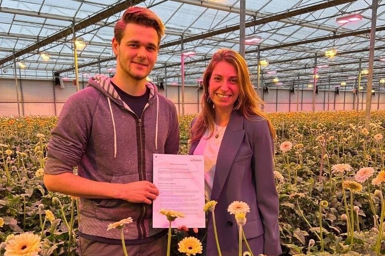 Schreurs announces collaboration with Kwekerij Hesen for gerbera breeding