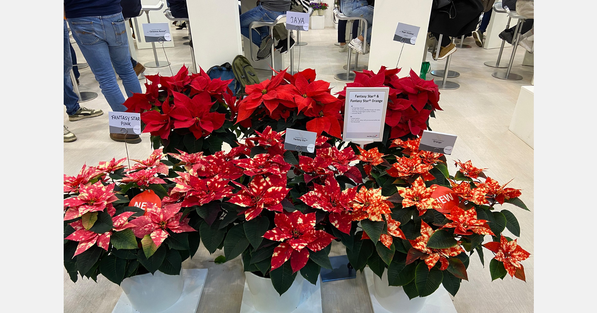 Selecta one reflects on IPM Essen 2025