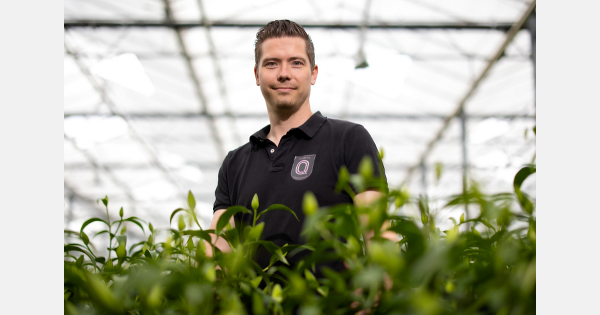 "Growers experience many benefits by determining own auction sequence"