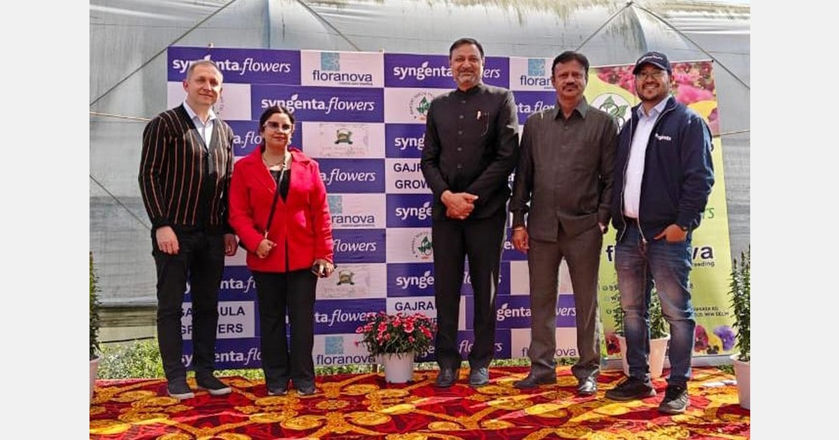 Indian growers eager to explore Syngenta Flowers innovations