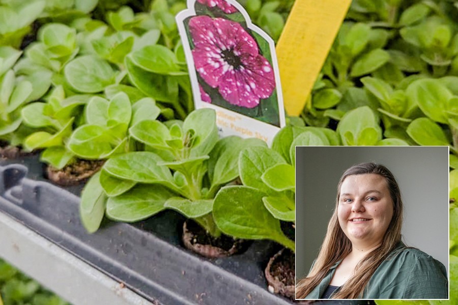 Ellepots in the wild: A tour of Capogna Flowers