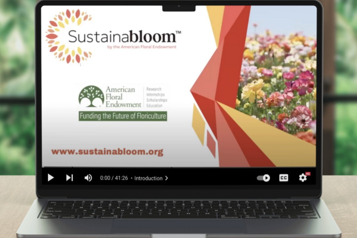 Forging a path to a greener future