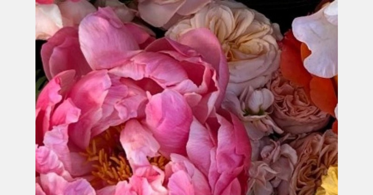 US: BloomNation announces new partnership with Florabundance