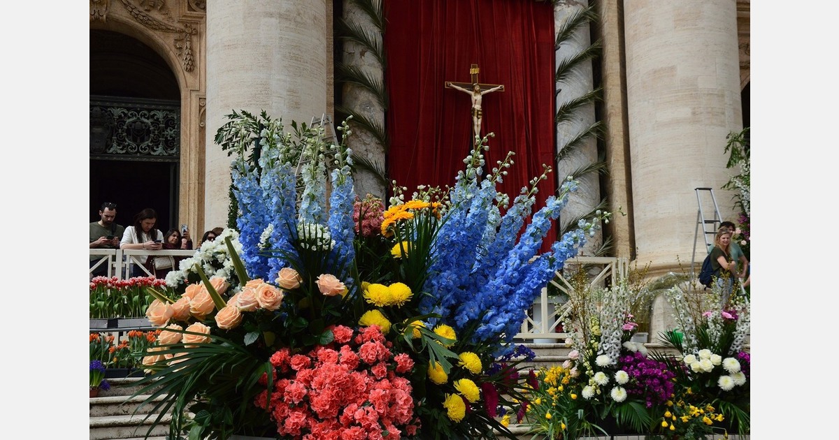 Flowers from The Netherlands at Easter in St. Peter’s Square, Vatican City