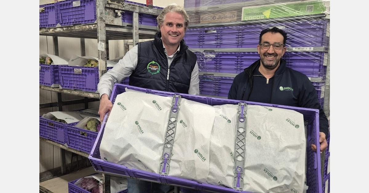 Holex Flower switches to circular flower boxes from Circular Plastics ...