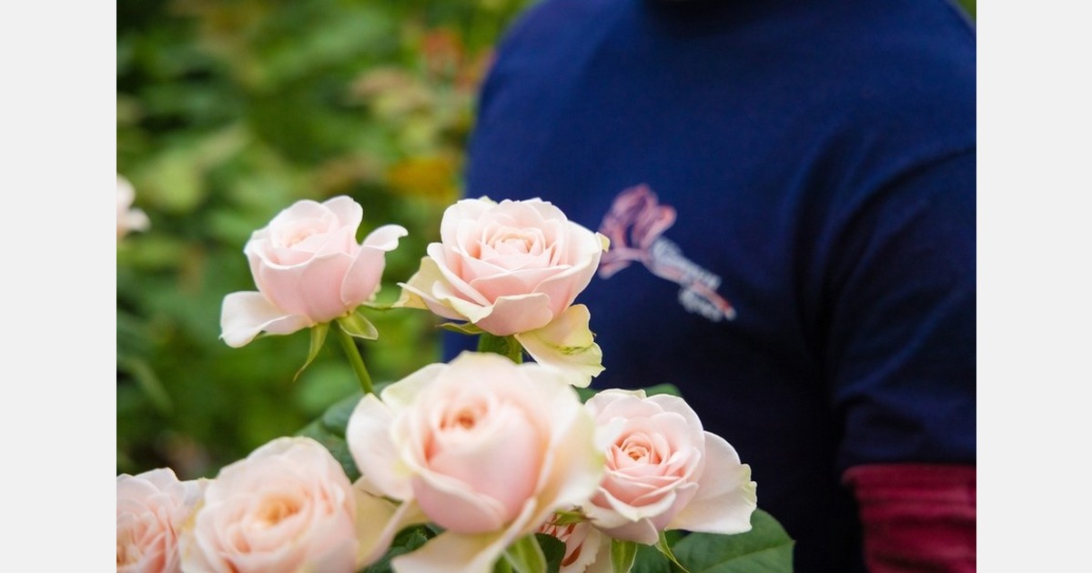 NL: 78% reduction of most harmful floriculture crop protection ahead of ...