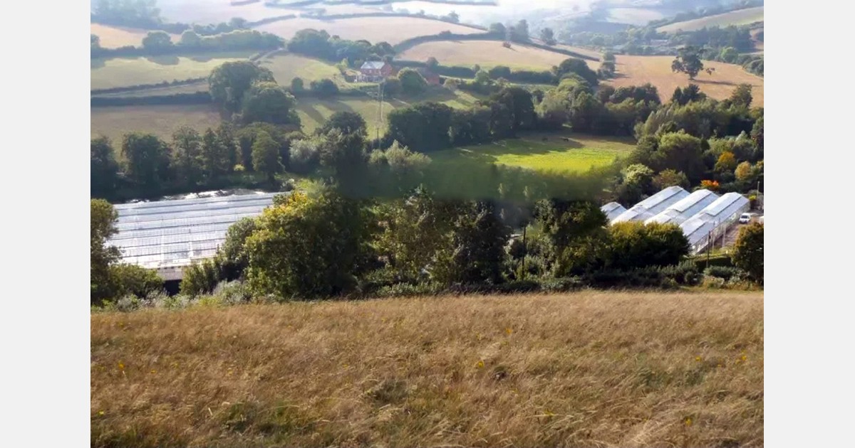 Whetman Plants International Ltd officially renamed to Selecta-One UK Ltd