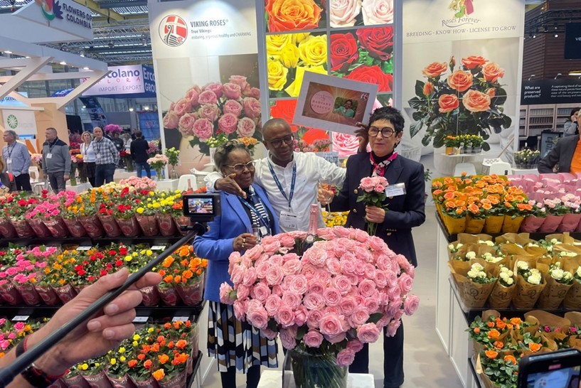 "We are now accepting reservation for this new spray rose variety"