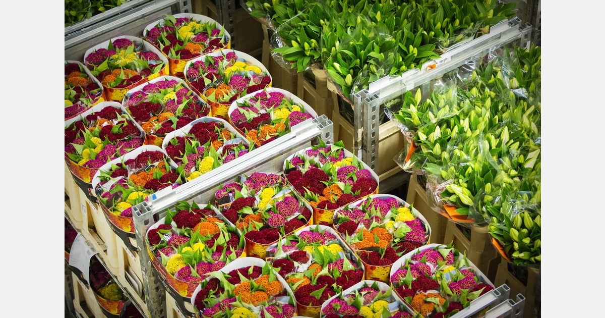 NL: Granting power of attorney ensures collection of BBH contribution ...