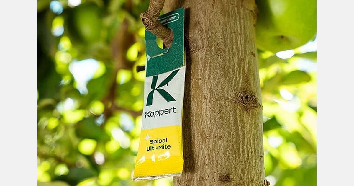 Using new sachets to aid in crop protection