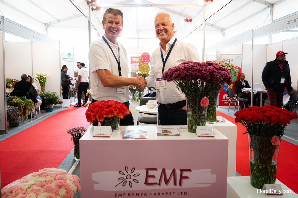 “More was needed than just Excel sheets”