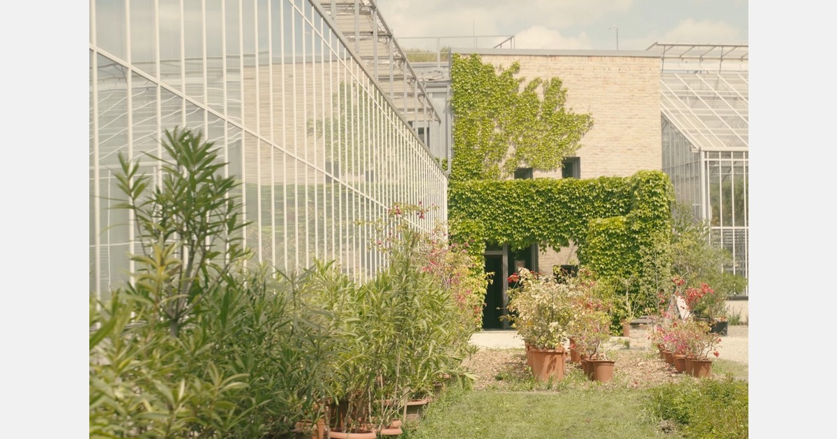 Decorum launches latest short documentary in lead up to World Cup