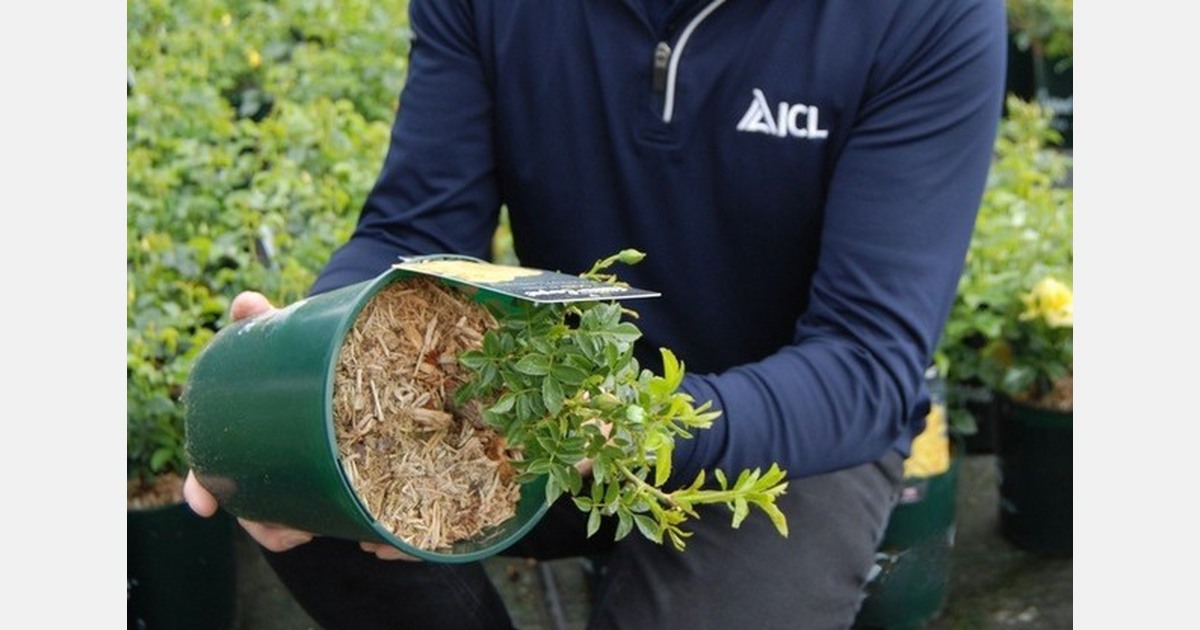 New pot topper released for UK market