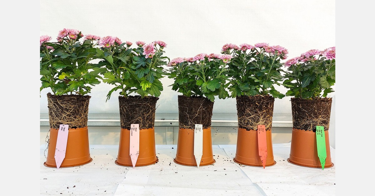 NL: The search for circular potting soil for growers and garden lovers