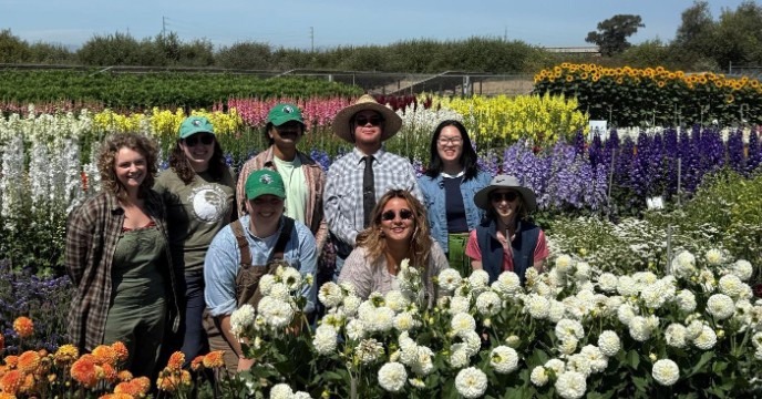 International interest blooms at California Cut Flower Trials 2025