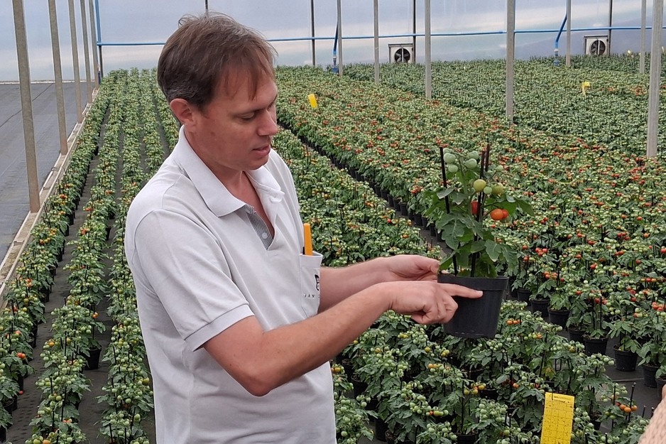 Colombian growers visit Brazil