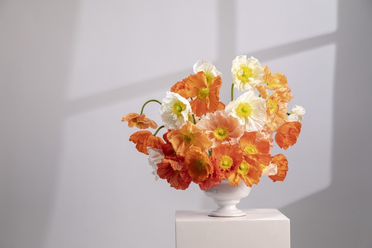 Floraprima introduces new Poppy collection