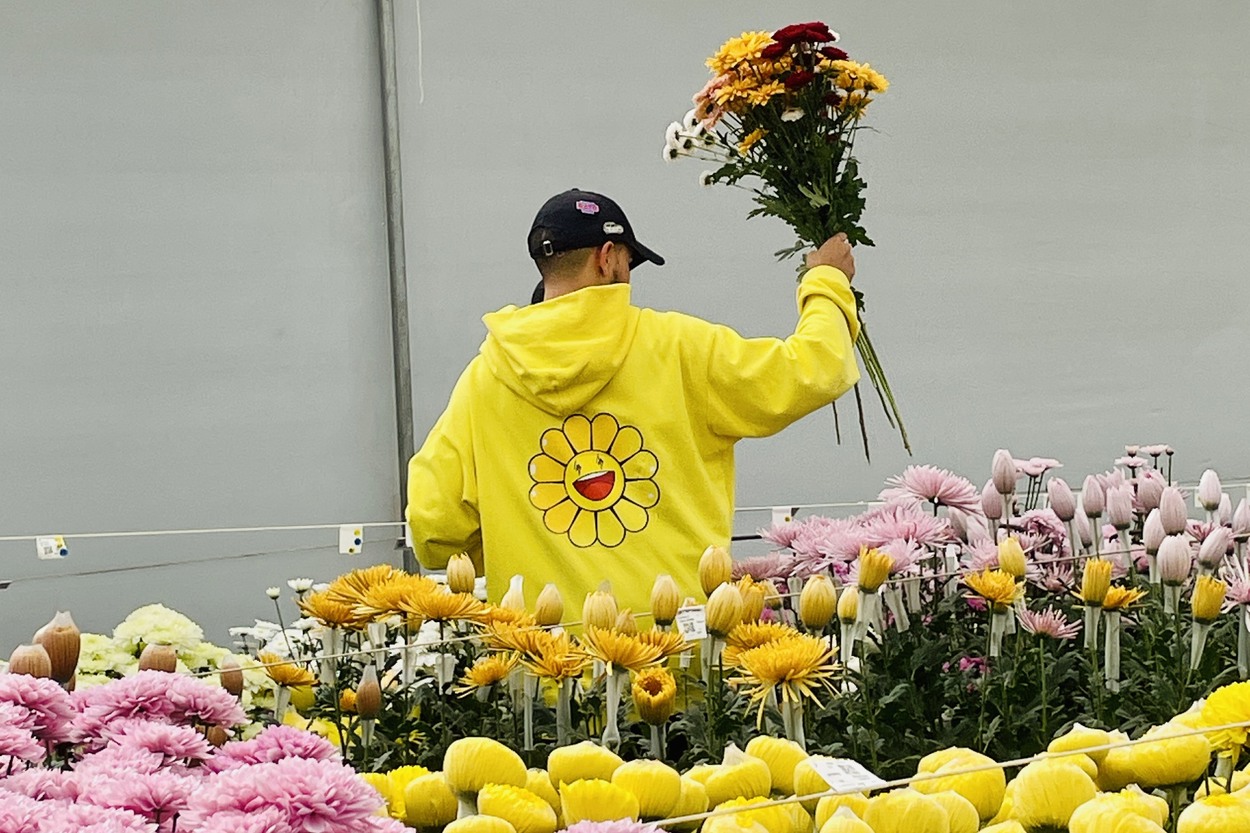 Colombian flowers used at J Balvin’s concerts