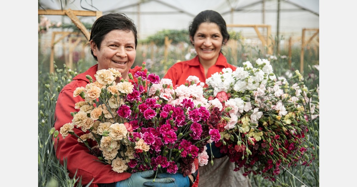 How Colombia built a global model for sustainable floriculture
