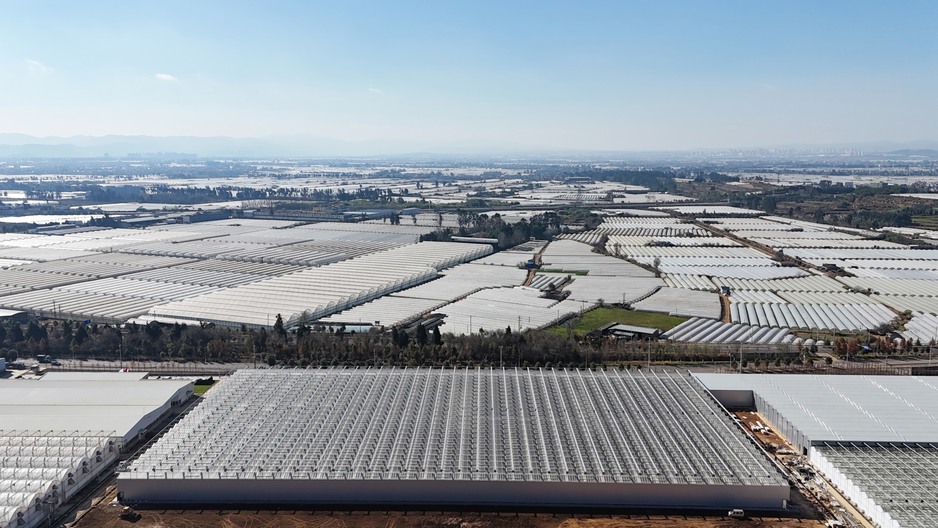 Chinese greenhouse for Kunming Anthura Horticulture nears completion