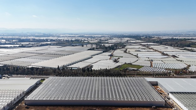 Chinese greenhouse for Kunming Anthura Horticulture nears completion