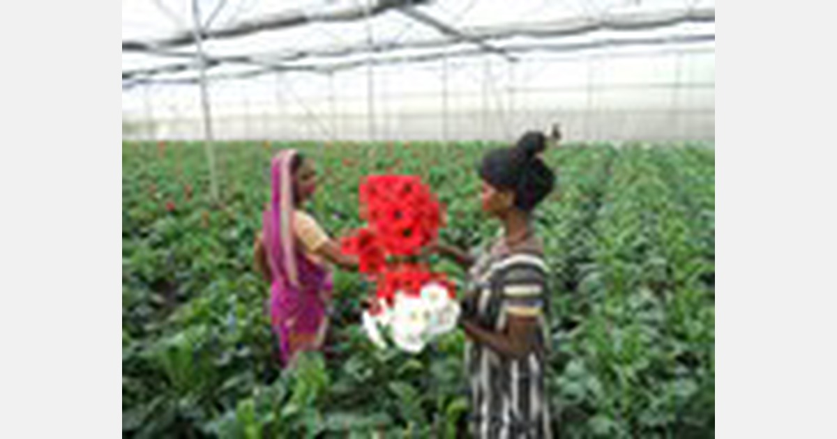 India: Government gives 50% subsidy on a poly house