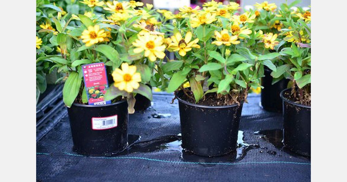 US: Walmart launches passive irrigation system to save water