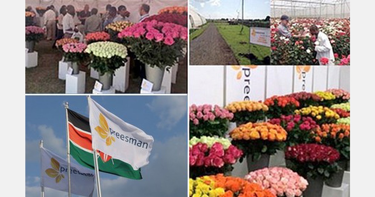 Rose breeder Preesman to be renamed