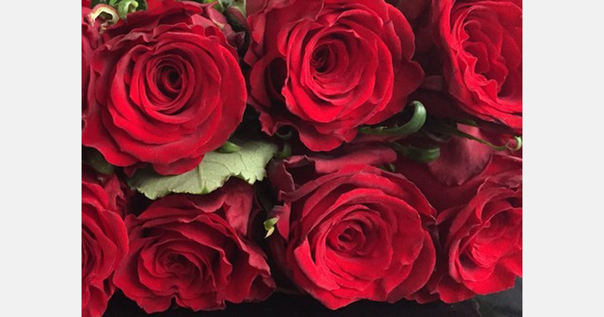 Rift Valley roses introduces Red Torch at FloraHolland Aalsmeer