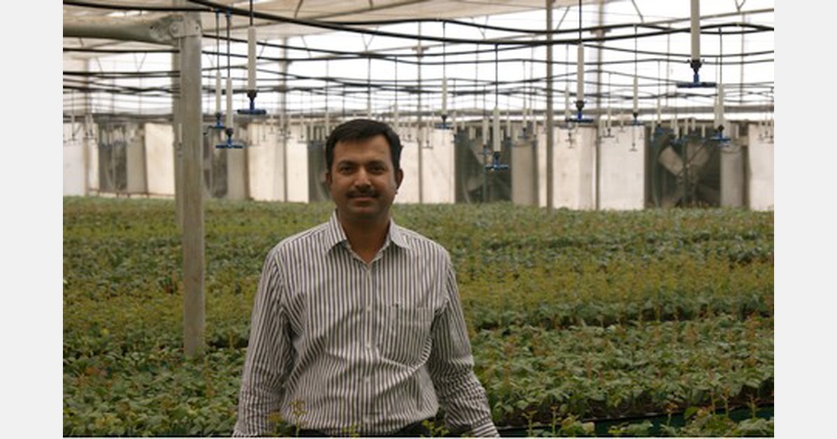 Indian grower Soex Flora ready to supply the world with rose cuttings