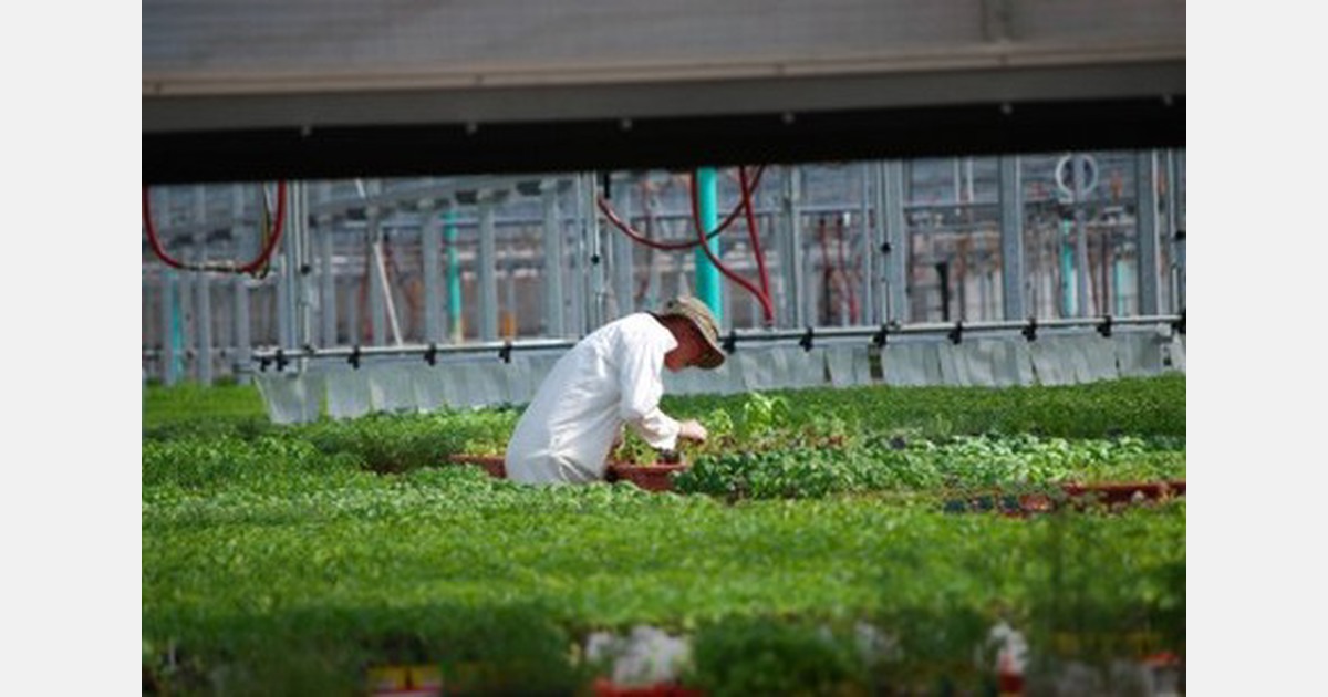 US: Complying with the revised Worker Protection Standard