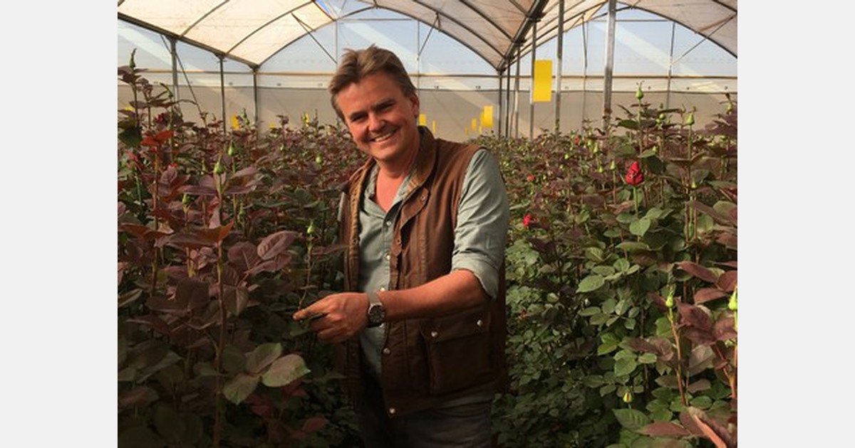 mount elgon orchards