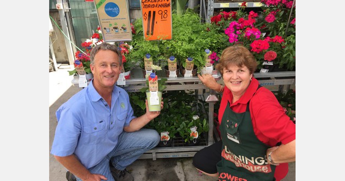 Boomaroo Nurseries launches Waterwick in Australia