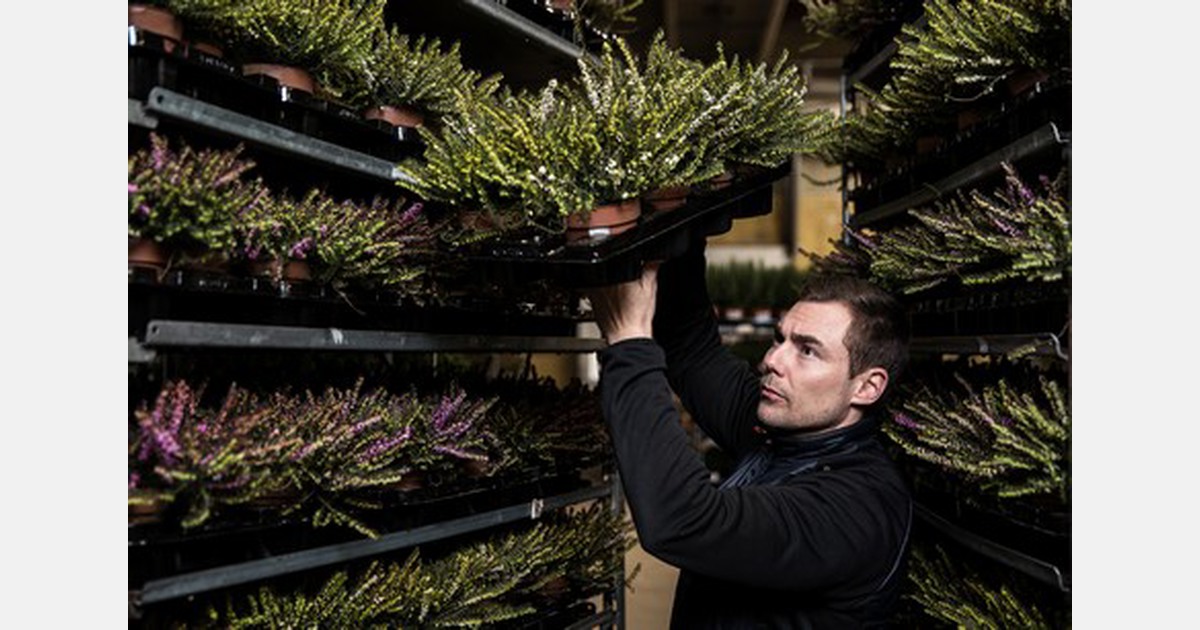 GASA Group continues positive sales development