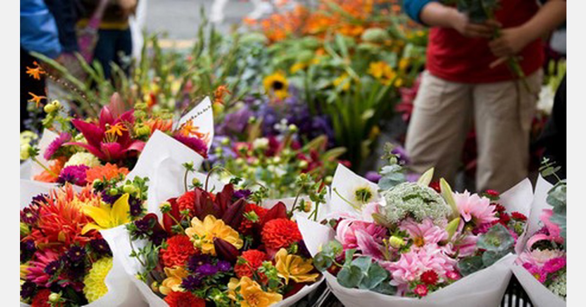 "Pakistan can enhance floral export"