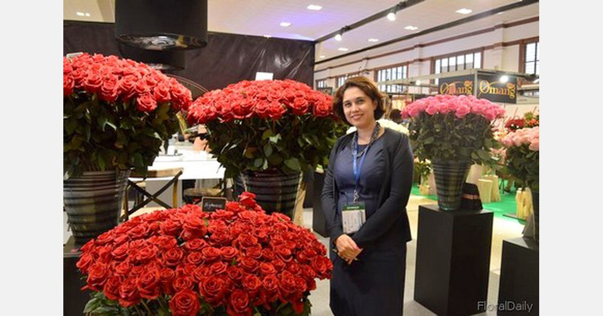 Kenya: AAA Roses expands Bellissima rose production with 10 ha