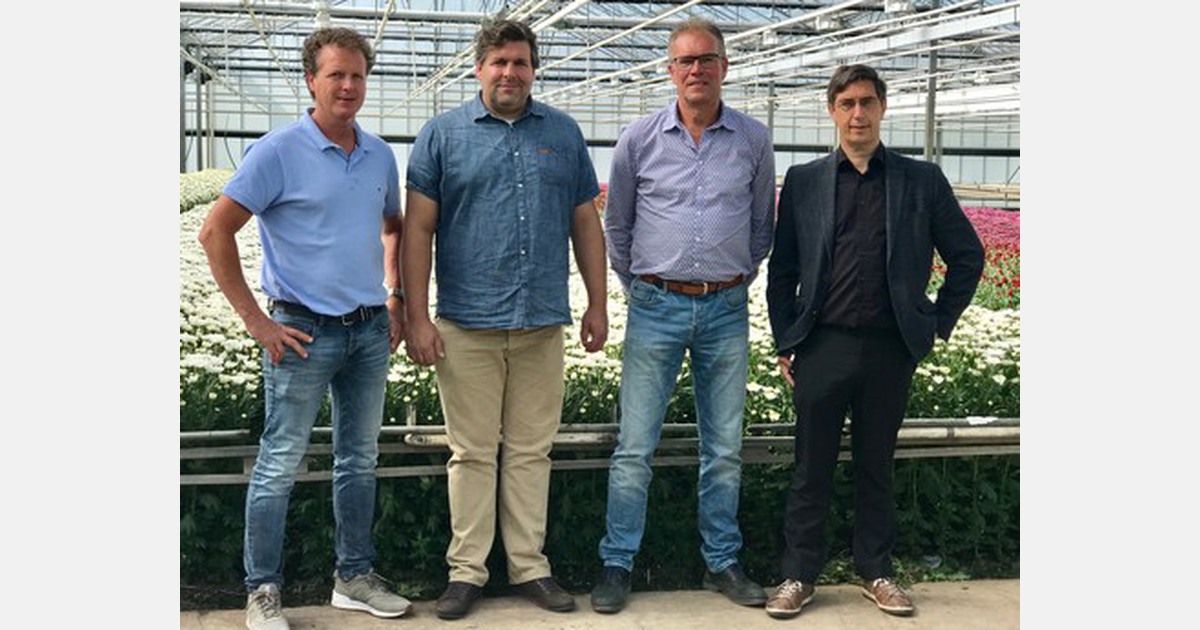 Foundation Chryson has 4 new faces