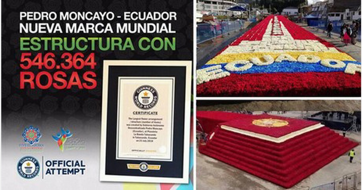 Ecuador: Rose pyramid breaks Guinness World Record