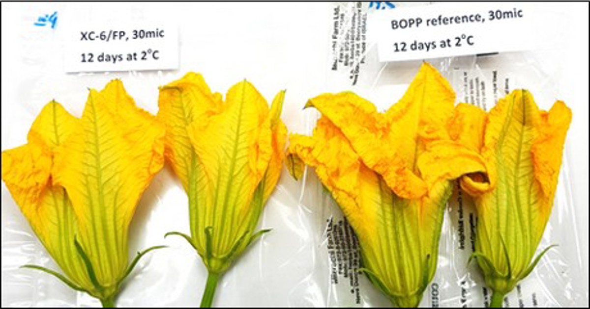 ROP Introduces MA packaging for edible flowers