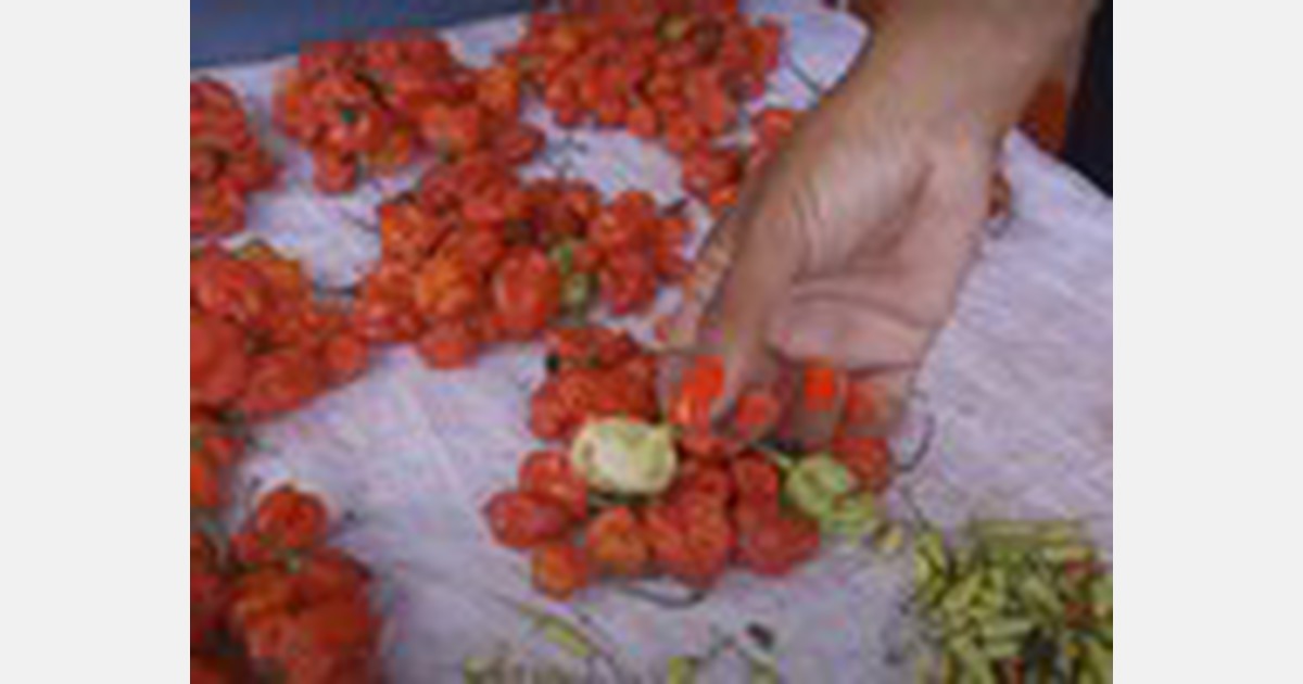 Two family-owned businesses in Angola are defying the pandemic