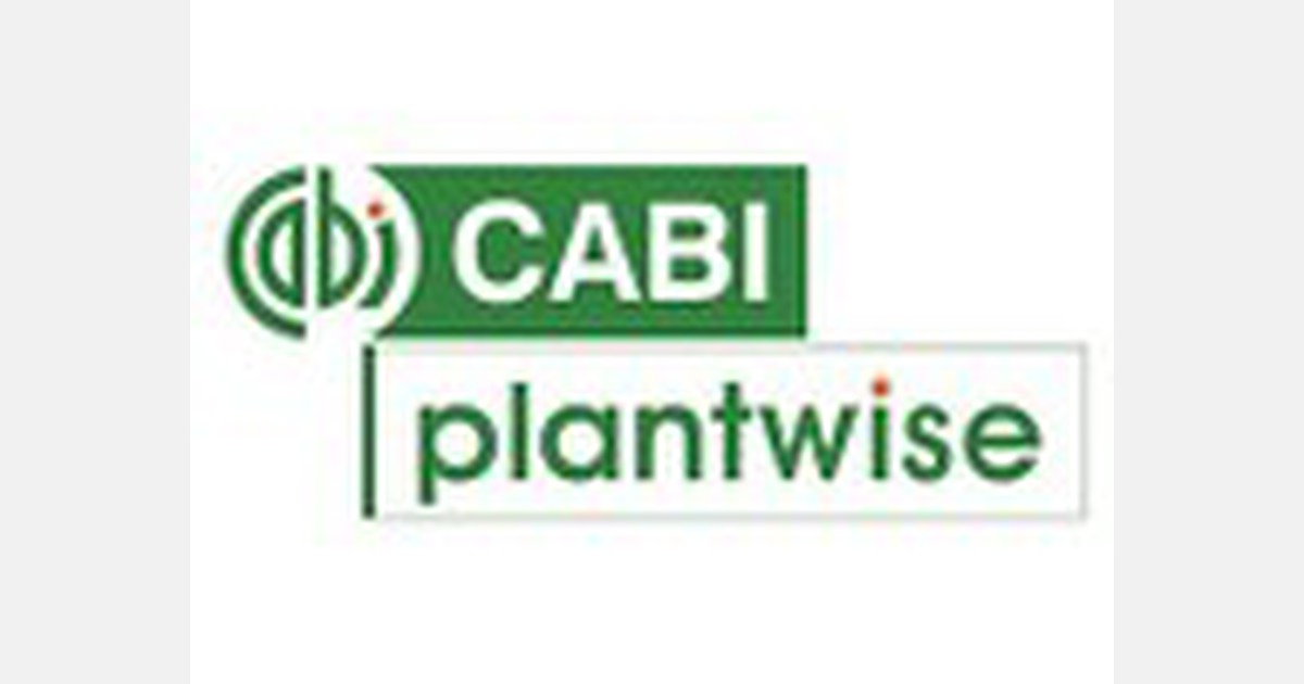 PlantwisePlus training helps Kenyan growers meet KS1758 food safety ...