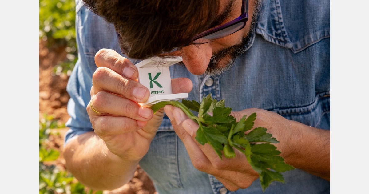 The six advantages of biological pest and disease control