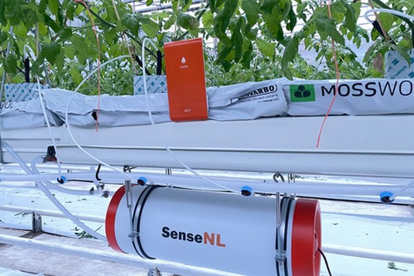 New drain sensor reveals what's happening in the root zone