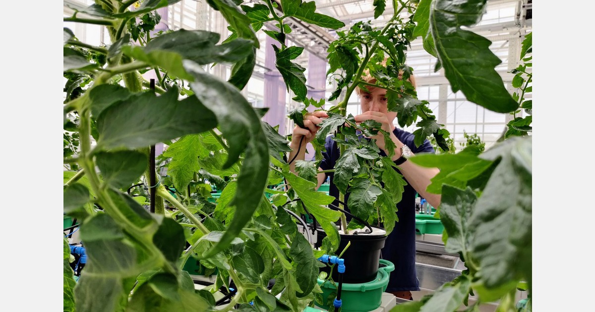 Dutch sensor startup shuts down: "What we aimed for is not within reach"