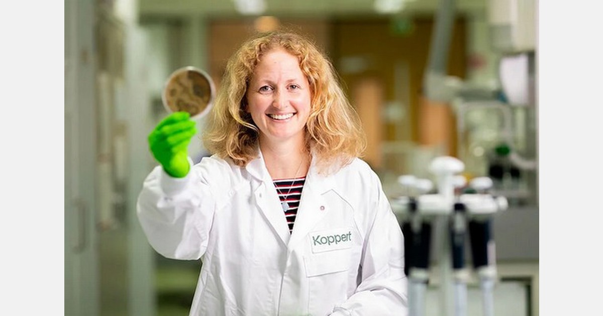 Pest and disease control with minimal to no risk of resistance