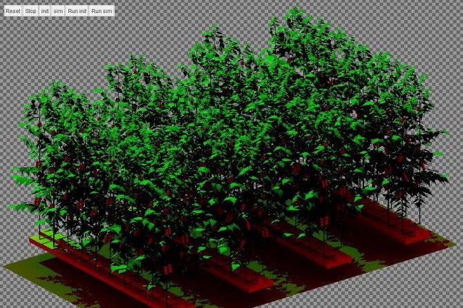 Digital twin technology deployed for 3D plant growth model