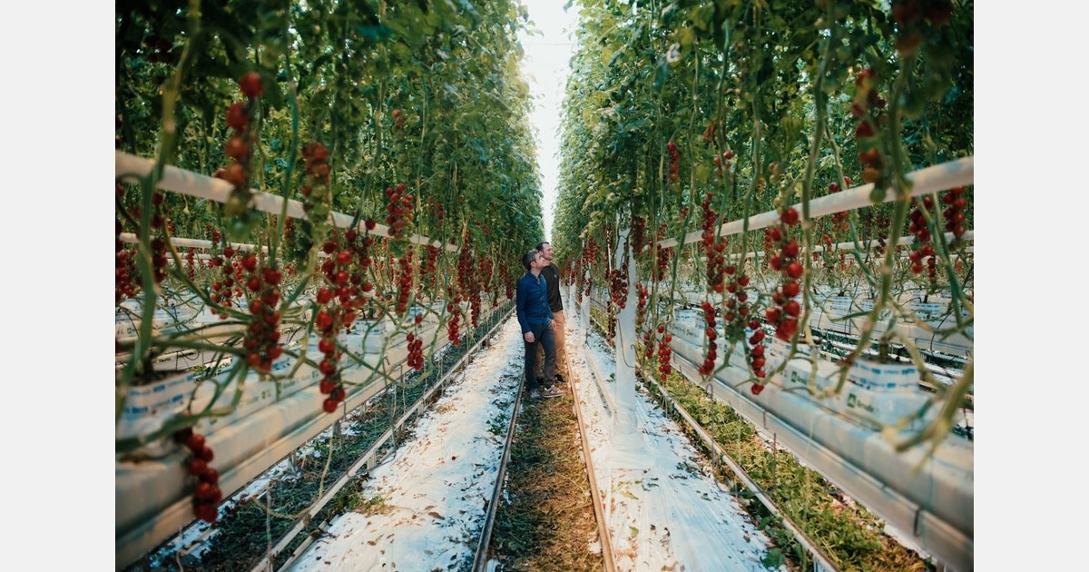 Source.ag unveils new product tiers to aid growers