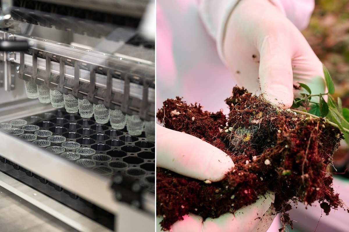 "We do everything to make the Growcoon a big success"